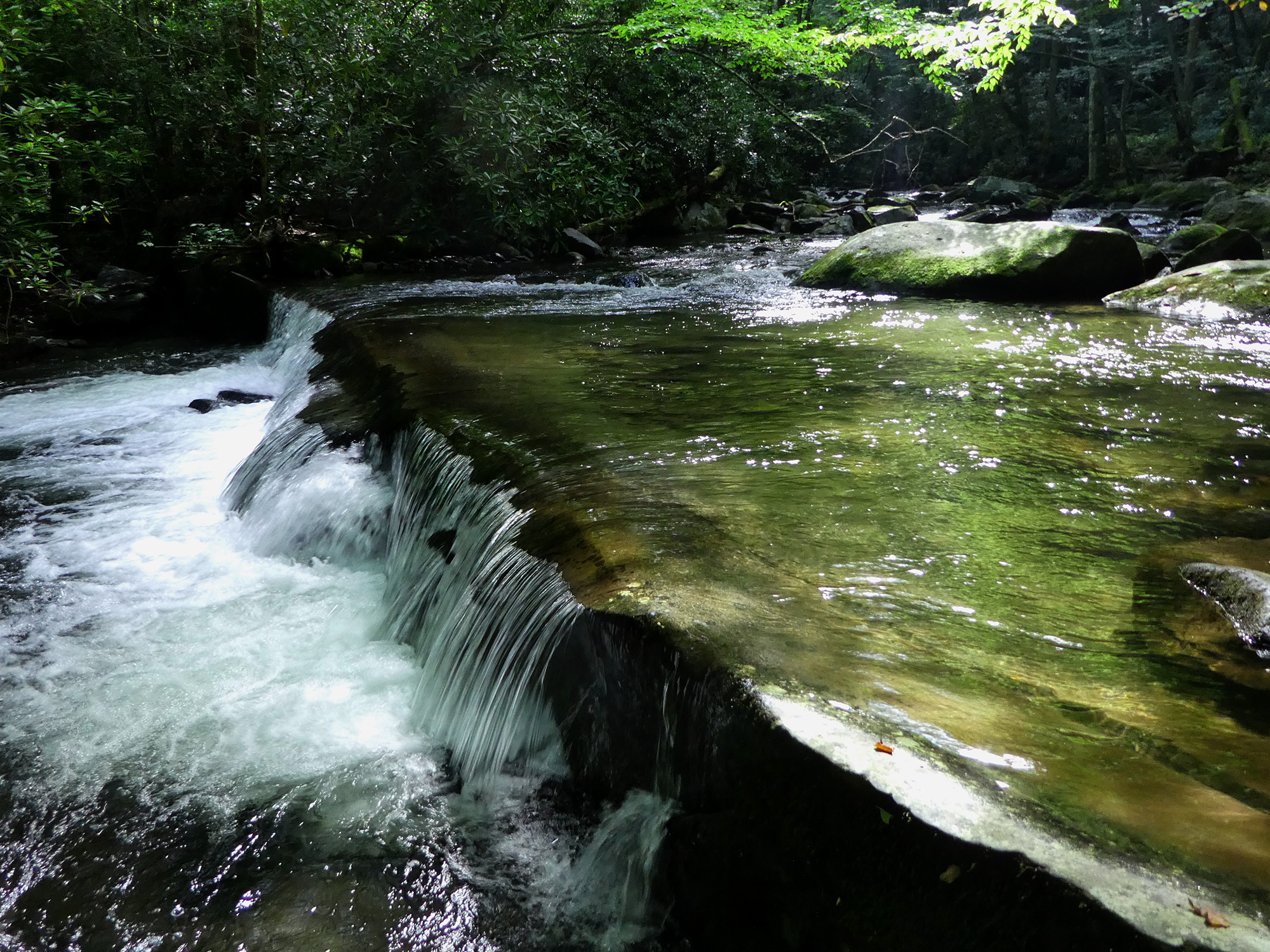 GSMNP Middle Prong Trail – Shadowfax on the Road