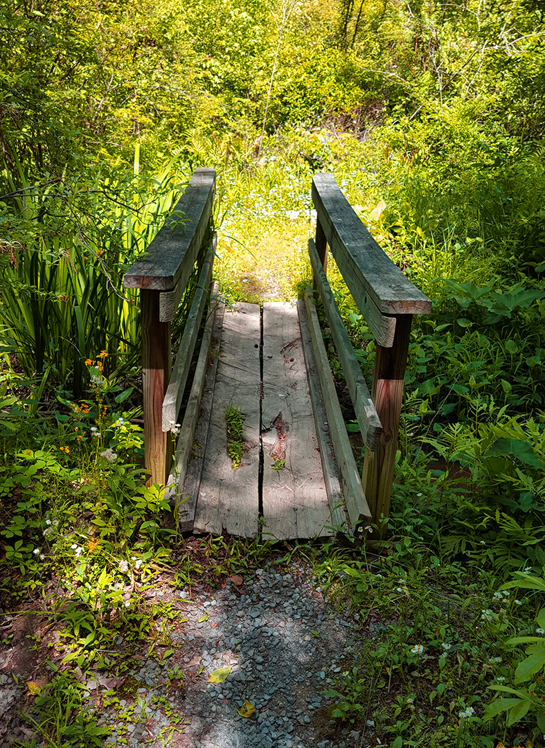 Jackson County Park – Shadowfax on the Road