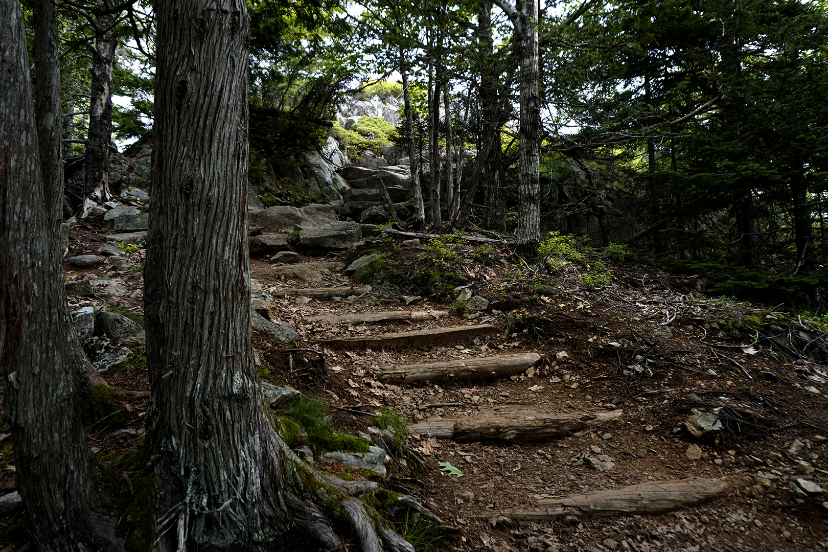 Flying Mountain Trail – Shadowfax on the Road