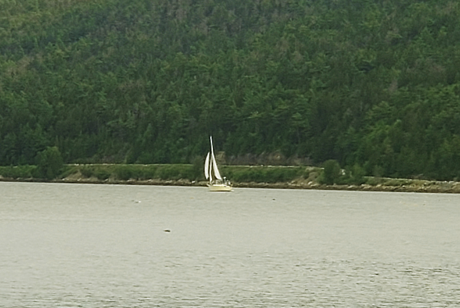 Flying Mountain Trail – Shadowfax on the Road