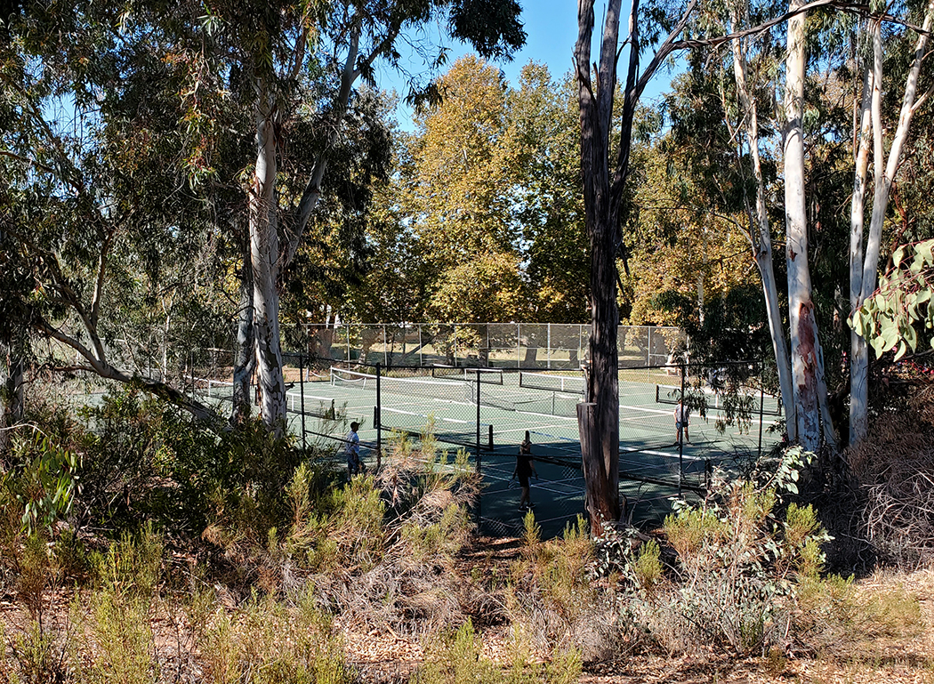 Santee Lakes Campground – Shadowfax on the Road